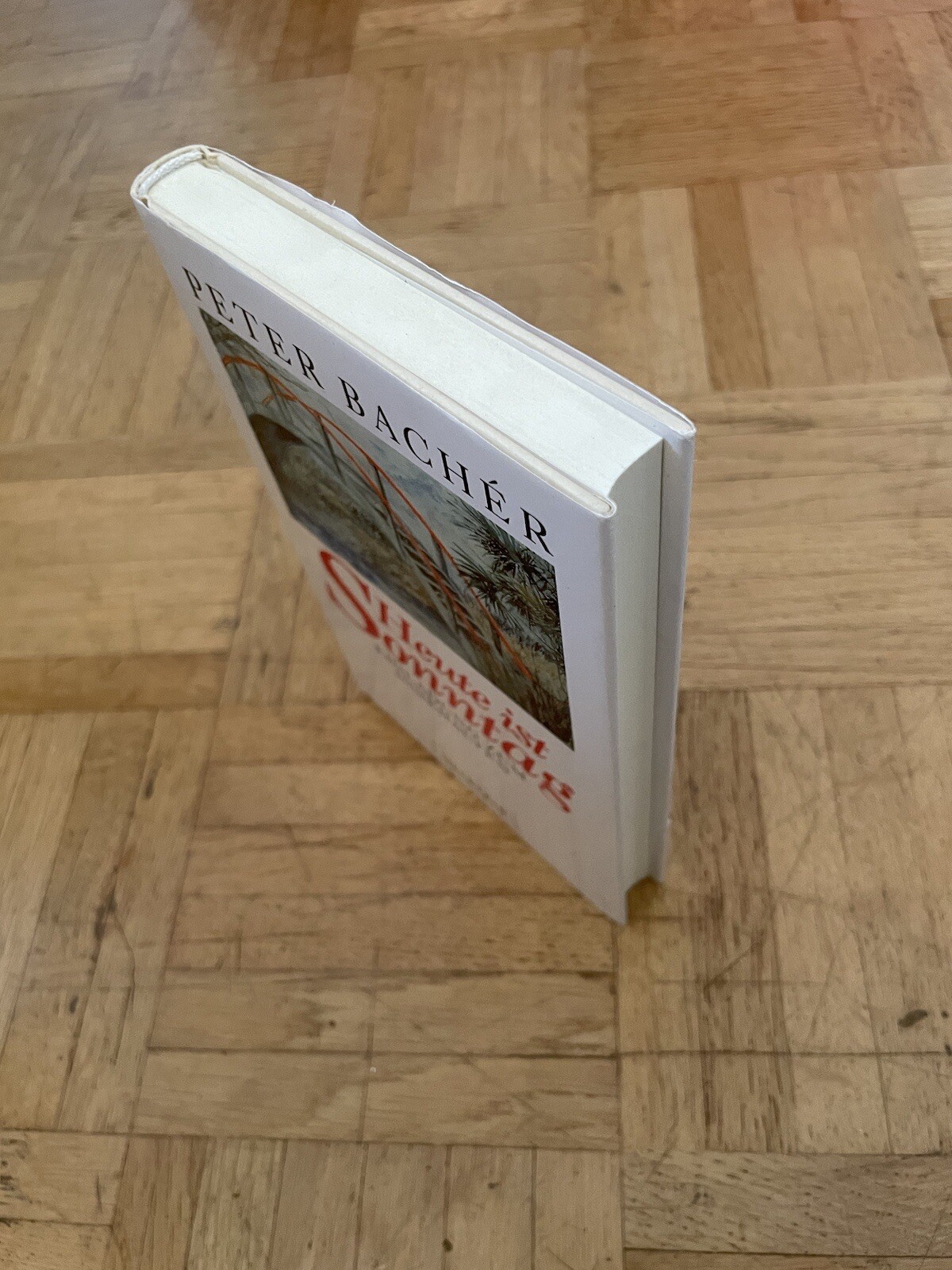 Heute ist Sonntag, von Peter Bacher Hardcover 🍀Sammlerstück sehr gut🍀 ...