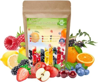 1200+ Mix Fruit Seeds Berry Seeds for Planting (9 Varieties) Heirloom ...