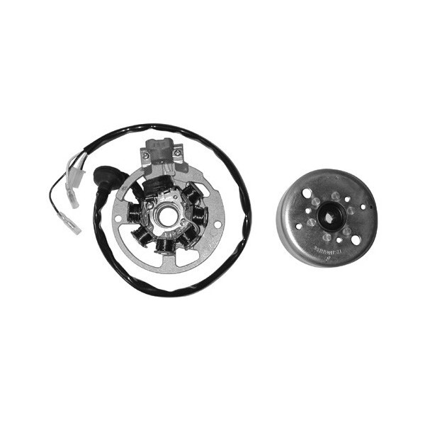 Flywheel & Stator Cables 60 CM E-Ton Beamer Matrix II 2t (Pn2e) 50 2007 ...