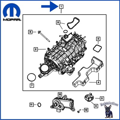 Intake Manifold Kit OEM Mopar 68194114AC | eBay
