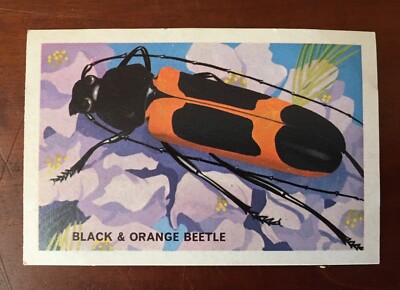 Shell Picture Cards 1960s Beetle series No. 313 Black & Orange ...
