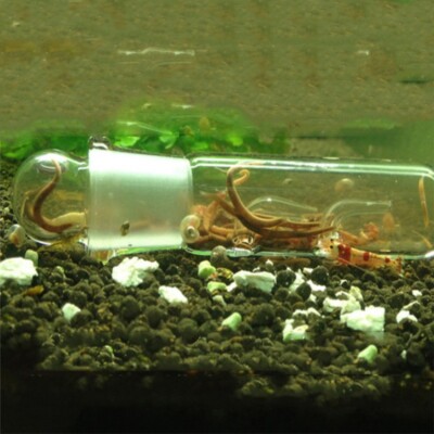 Aquarium Pest Trap Shrimp Leeches Worm Leech Planaria Catch Catcher ...