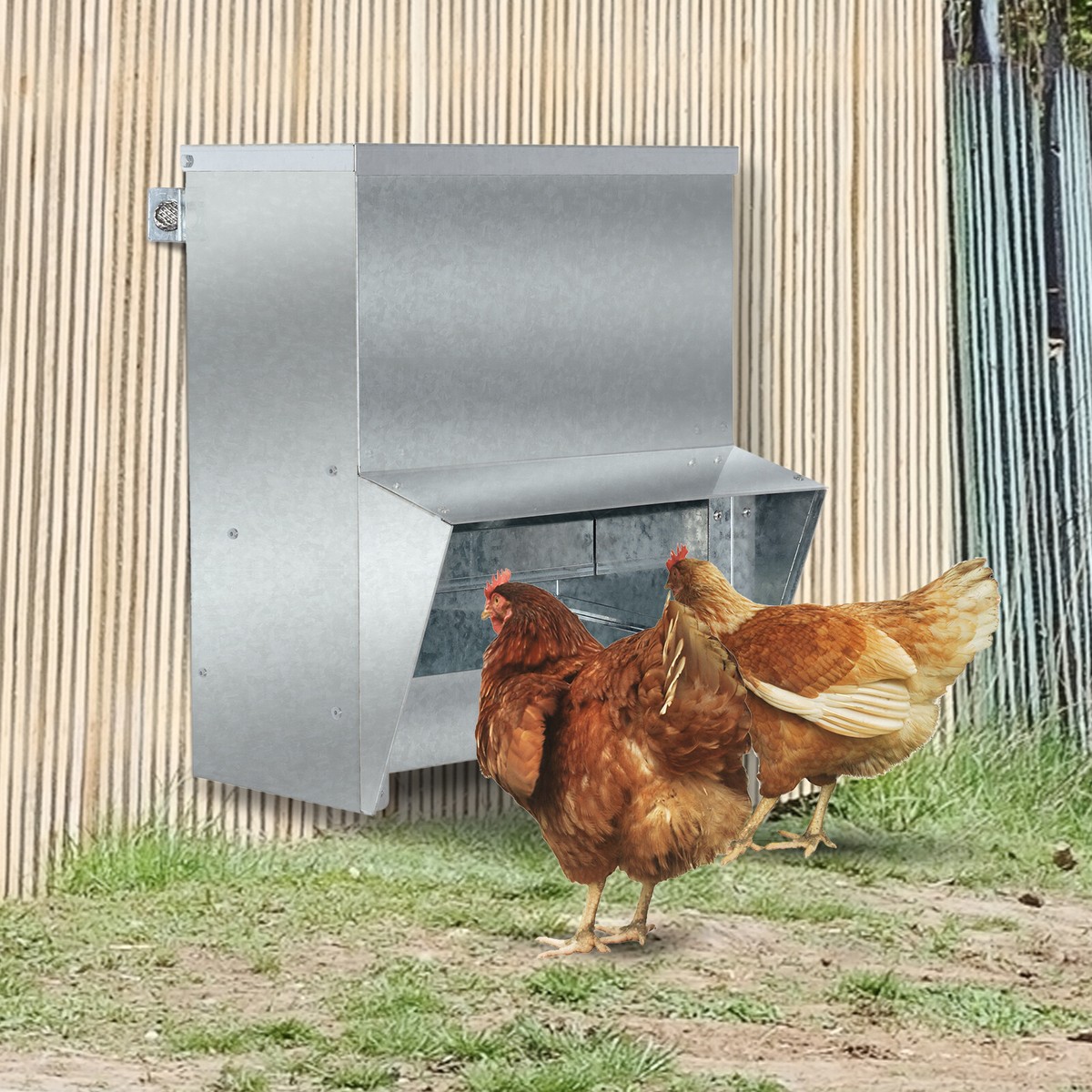Wall Mounted Chicken Feeder Peck It Clean Veggie Feeder For Chickens