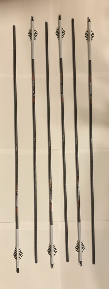 Compound Bow Arrows 300 spine Carbon arrows Custom Dip | eBay