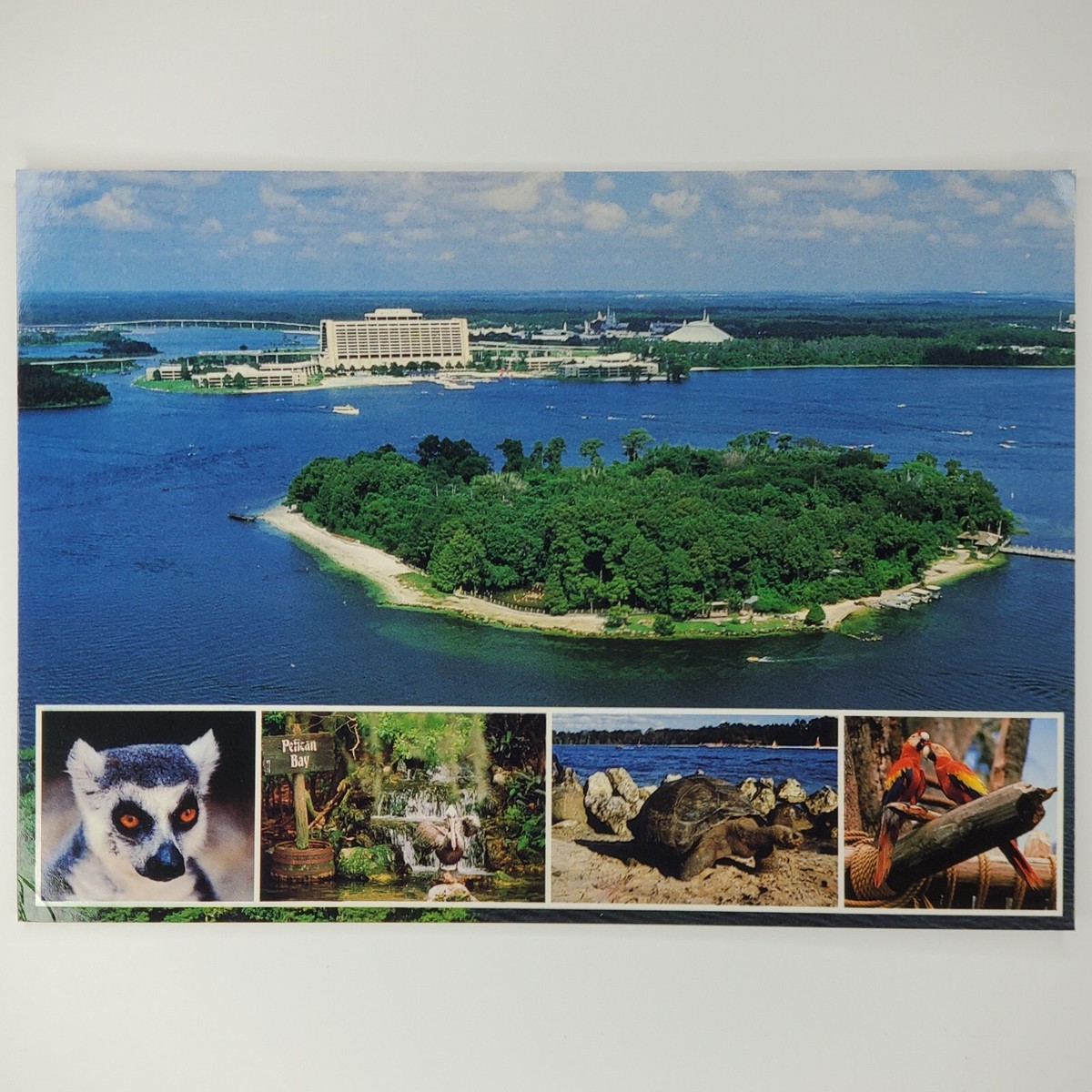 Isla Discovery Disney Resort Disney World Discovery Island Trespasser