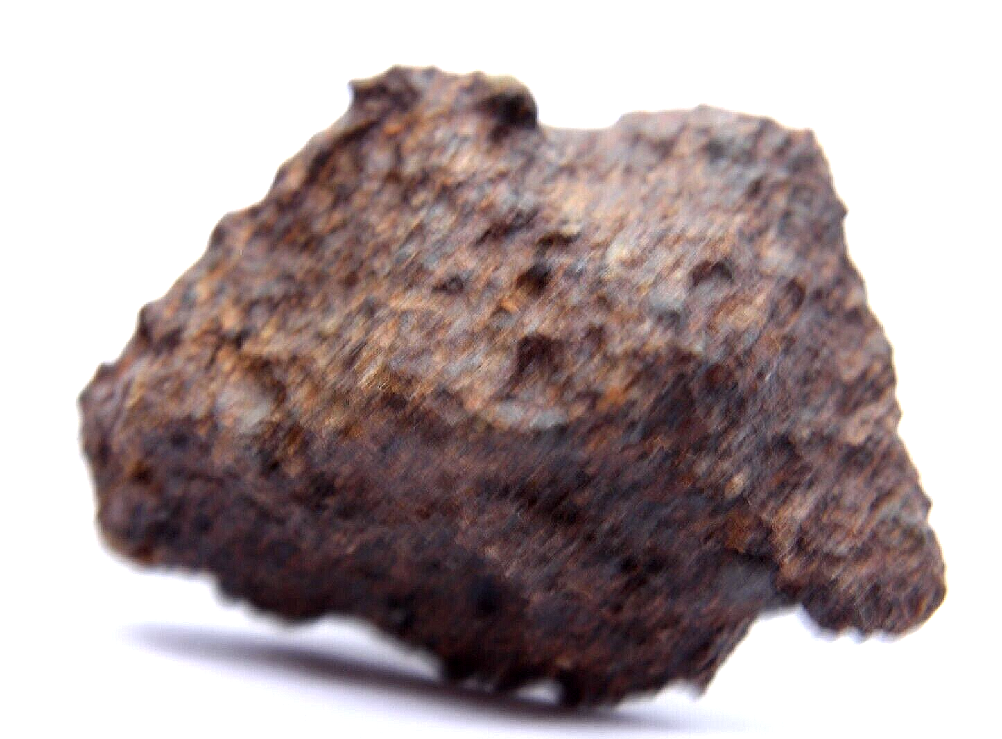 Meteorite NWA 15243 LL3 CHONDRITE METEORITE 27.8 gram | eBay