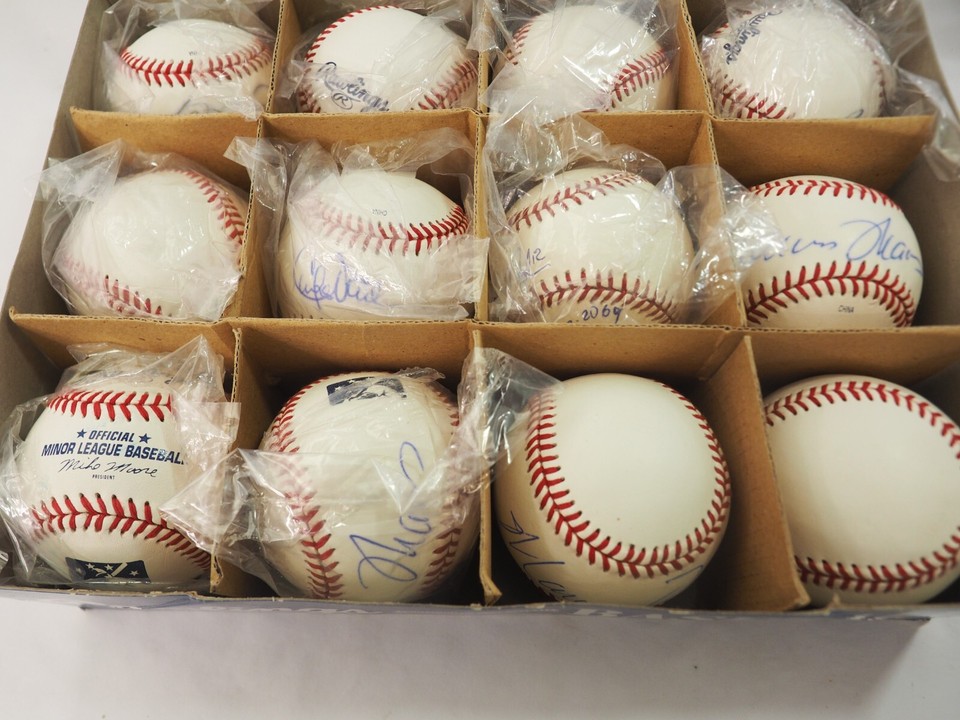 Lot of 12 Offical Game Bal Authentic Autographed Rawlings Minor League ...