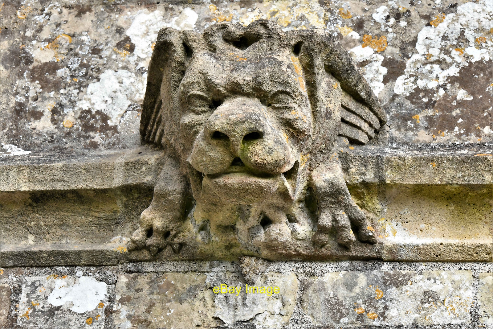 Photo 12x8 Codford St Peter, St. Peter's Church: Grotesques and ...