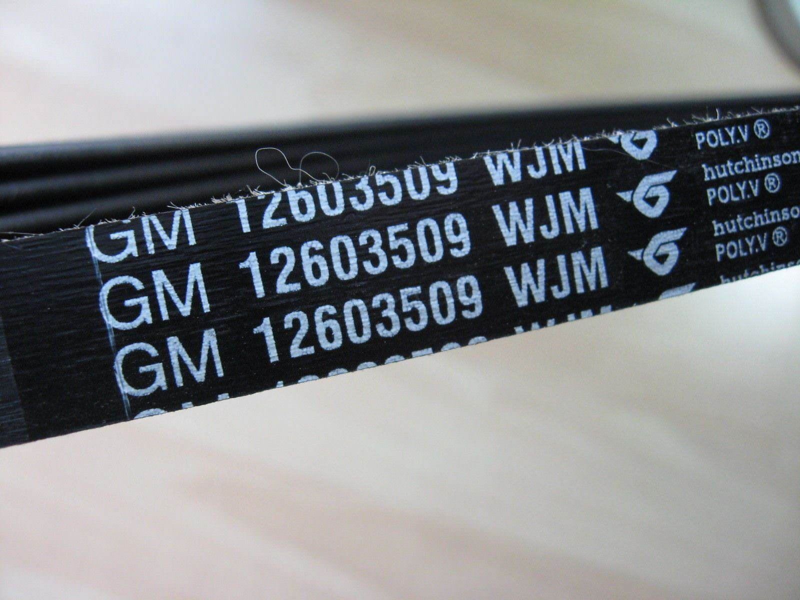 NEW 2008-2015 GM Trucks A/C Compressor Belt 19210691 12603509 19178068 ...