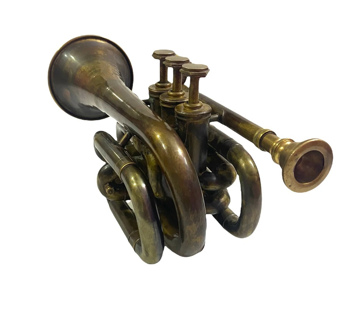 Unusual Brass Instruments | ppgbbe.intranet.biologia.ufrj.br