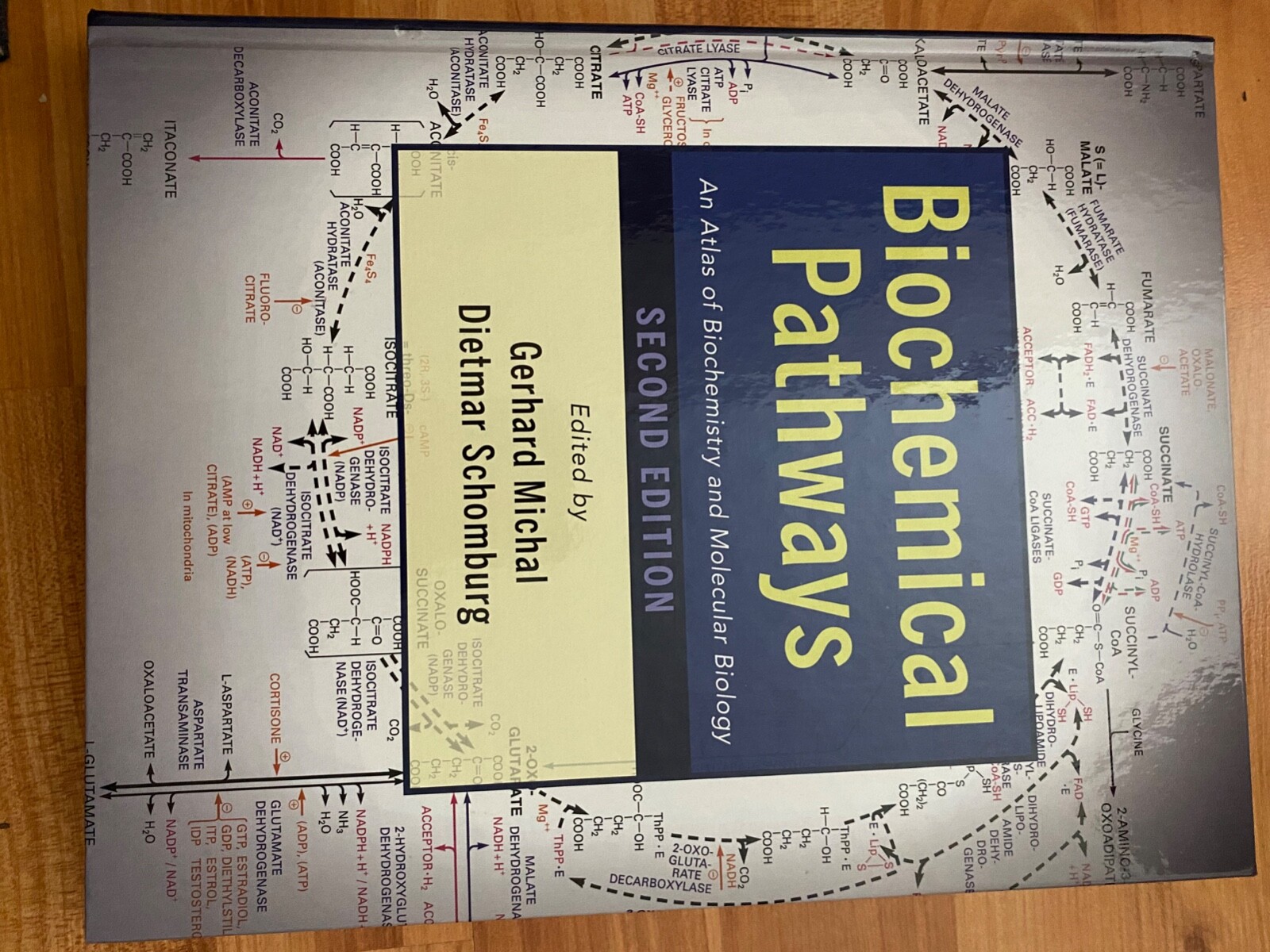 Biochemistry Pathways