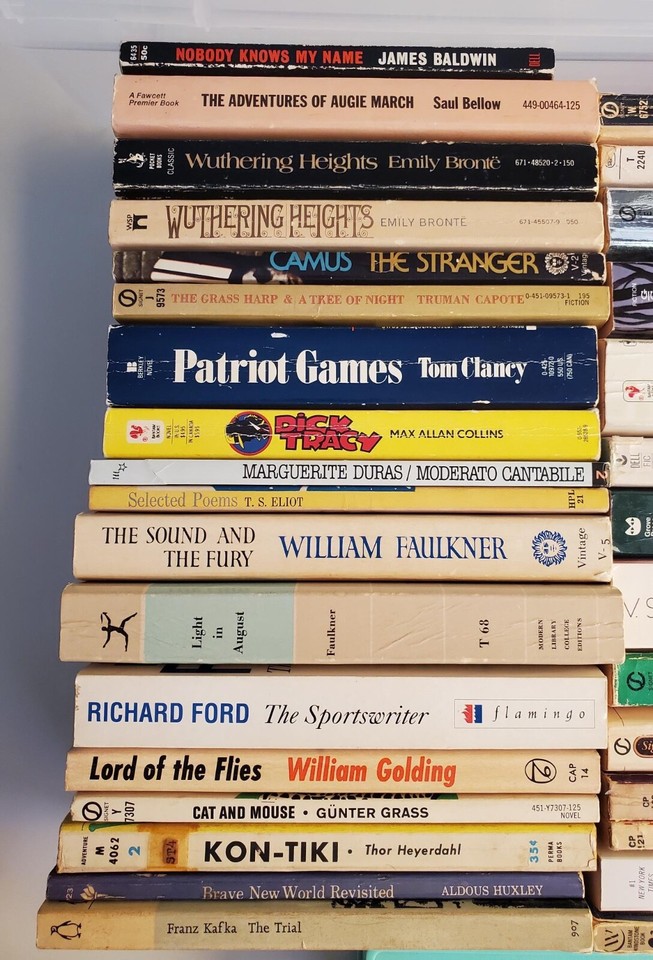 Vintage Paperback Books PICK 1: Horror books, Sci-Fi, Salinger, Baldwin ...