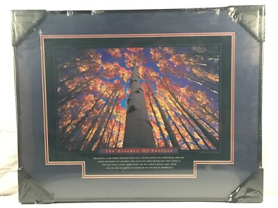 BRAND NEW Successories 22 X 28 "The Essence of Success" | eBay