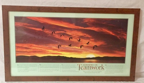 Successories 16 X 30 "Lessons In Teamwork" | eBay