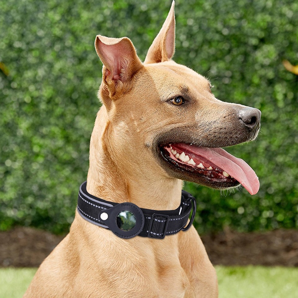 30-38cm Reflective Dog Collar Adjustable Heavy Duty Neoprene Padded Pet ...