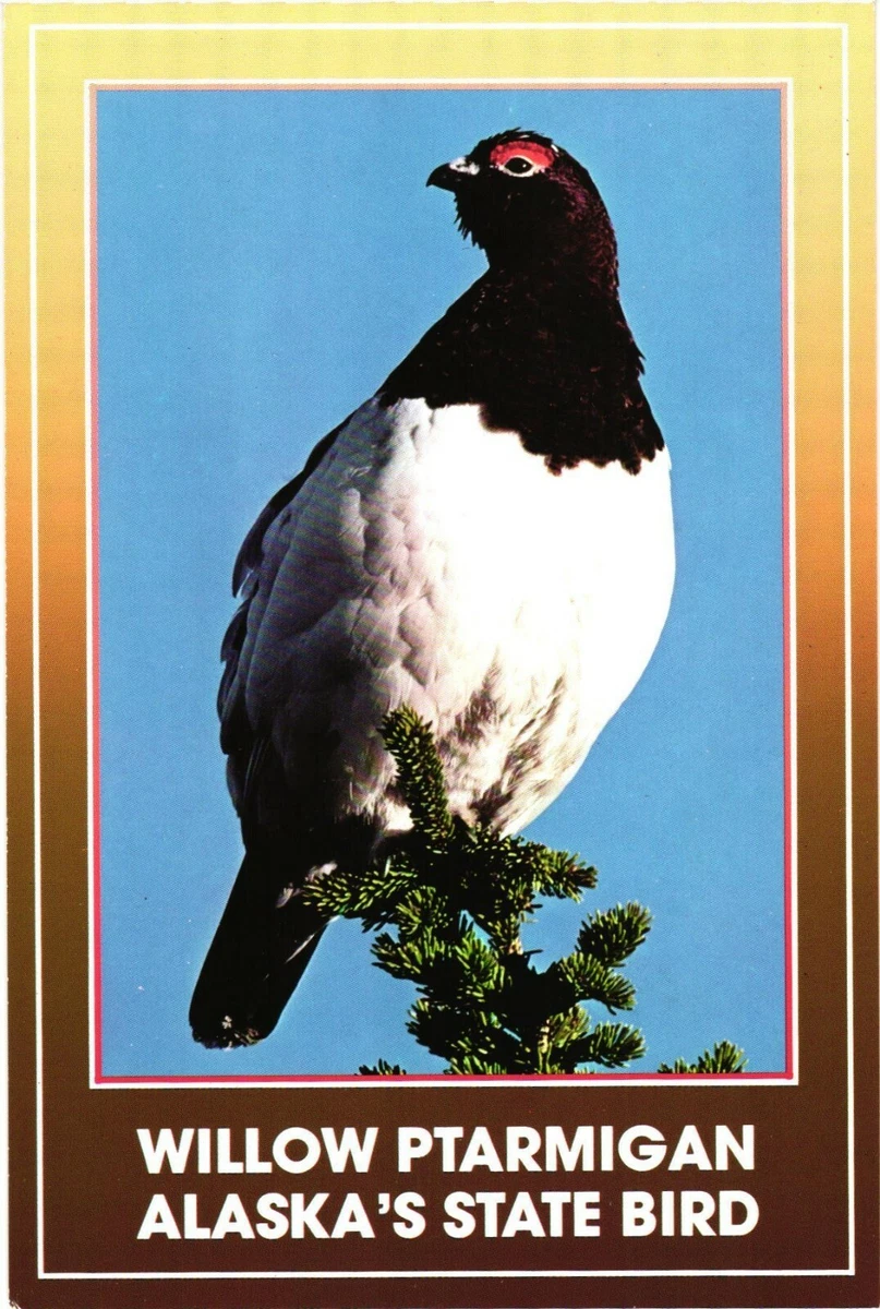 Willow Ptarmigan Sound