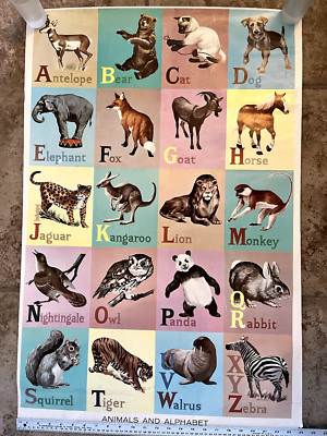 Animals and Alphabet, Educational Posters 1959 | eBay