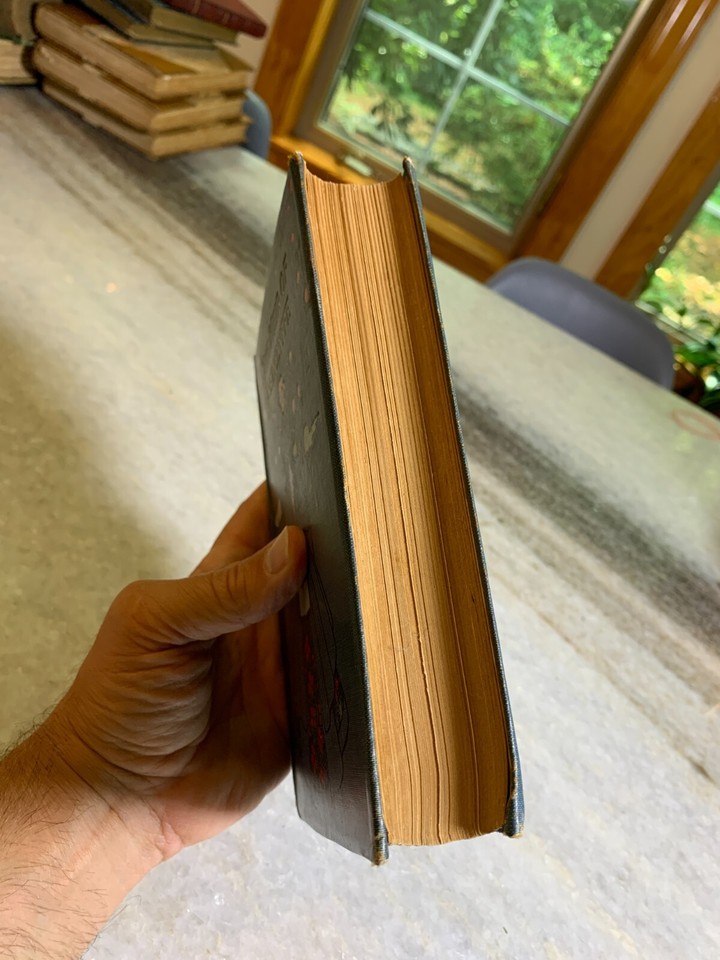 Antique Victorian Ornate Embossed 1st Ed Book The Heir of Redclyffe C ...