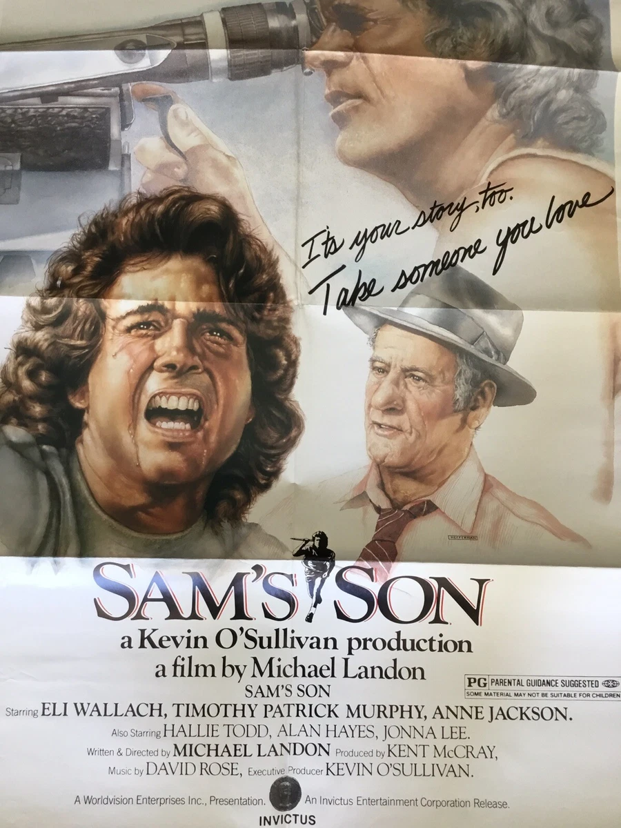 Sullivan And Son Poster