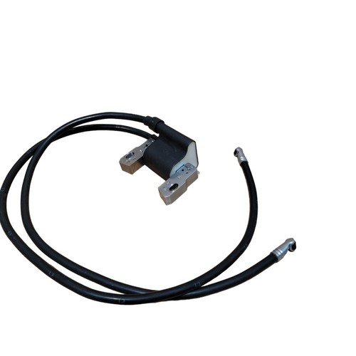 Briggs & Stratton Ignition Coil Module With Wire & Connectors | eBay
