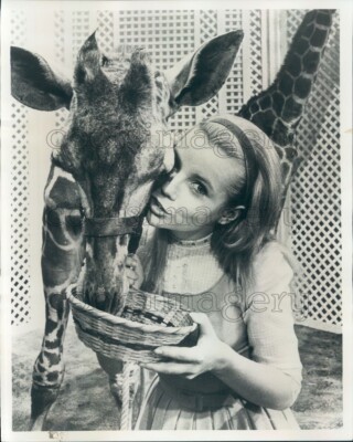 1966 Press Photo Pretty Actress Judi Rolin Feeds Giraffe | eBay