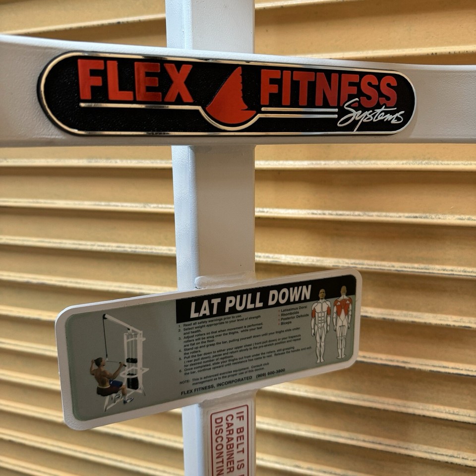 Wow! RARE Flex Fitness Lat Pulldown / Pull Down - Belt Driven With 300 ...