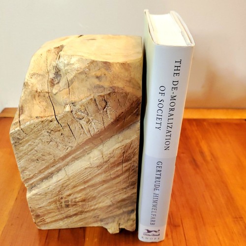 The De-Moralization of Society From Victorian Virtues to Modern Values ...