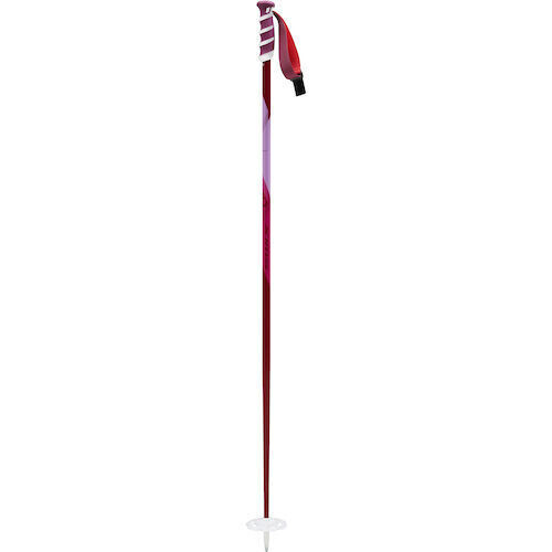 Swix Womens Techlite Pro Alpine Ski Poles | eBay