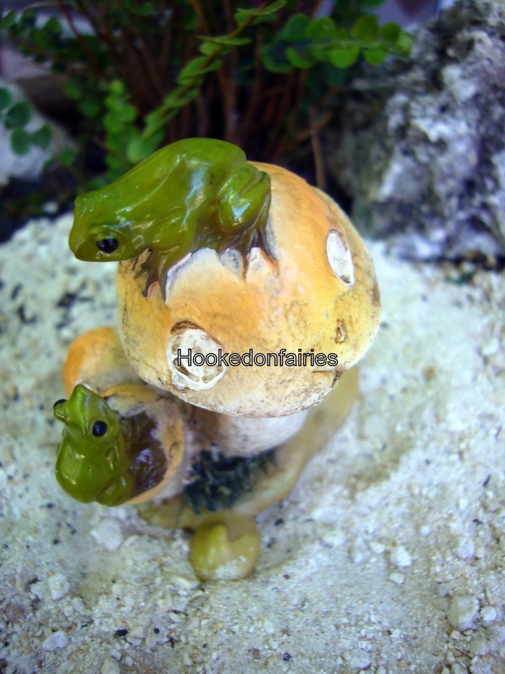 Mini Frog on Mushrooms TO 4441 Miniature Fairy Gnome Hobbit Garden | eBay