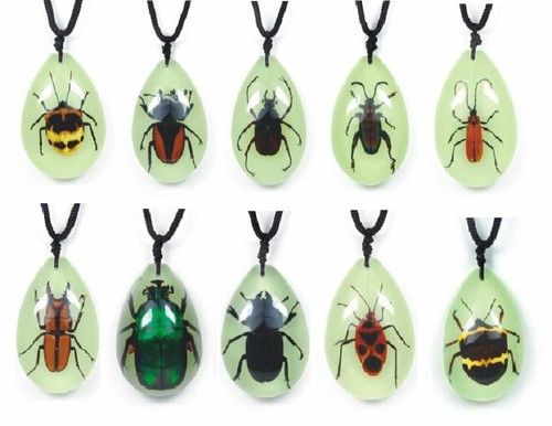 Real Insect Glow in Dark Tear Drop Necklace Pendants Large Size Bugs ...