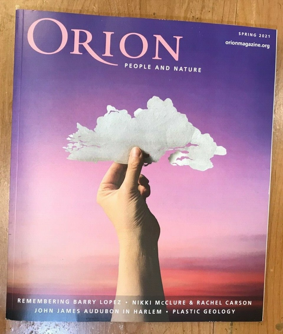 Orion Magazine Subscription