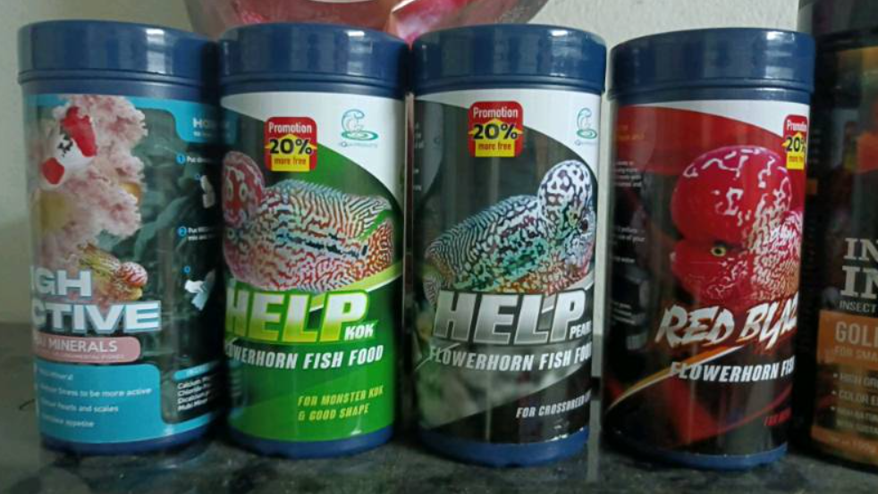 Flowerhorn Fish Food Help Breeder Kok Fry Red Blaze Pearl Color Faster ...