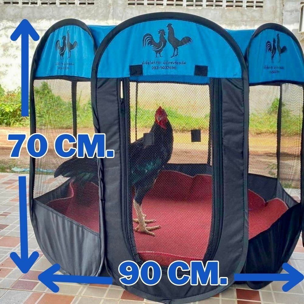 NEW Rooster cage THAI Hexagonal shape folded exercise games 1 pc. 70 x ...