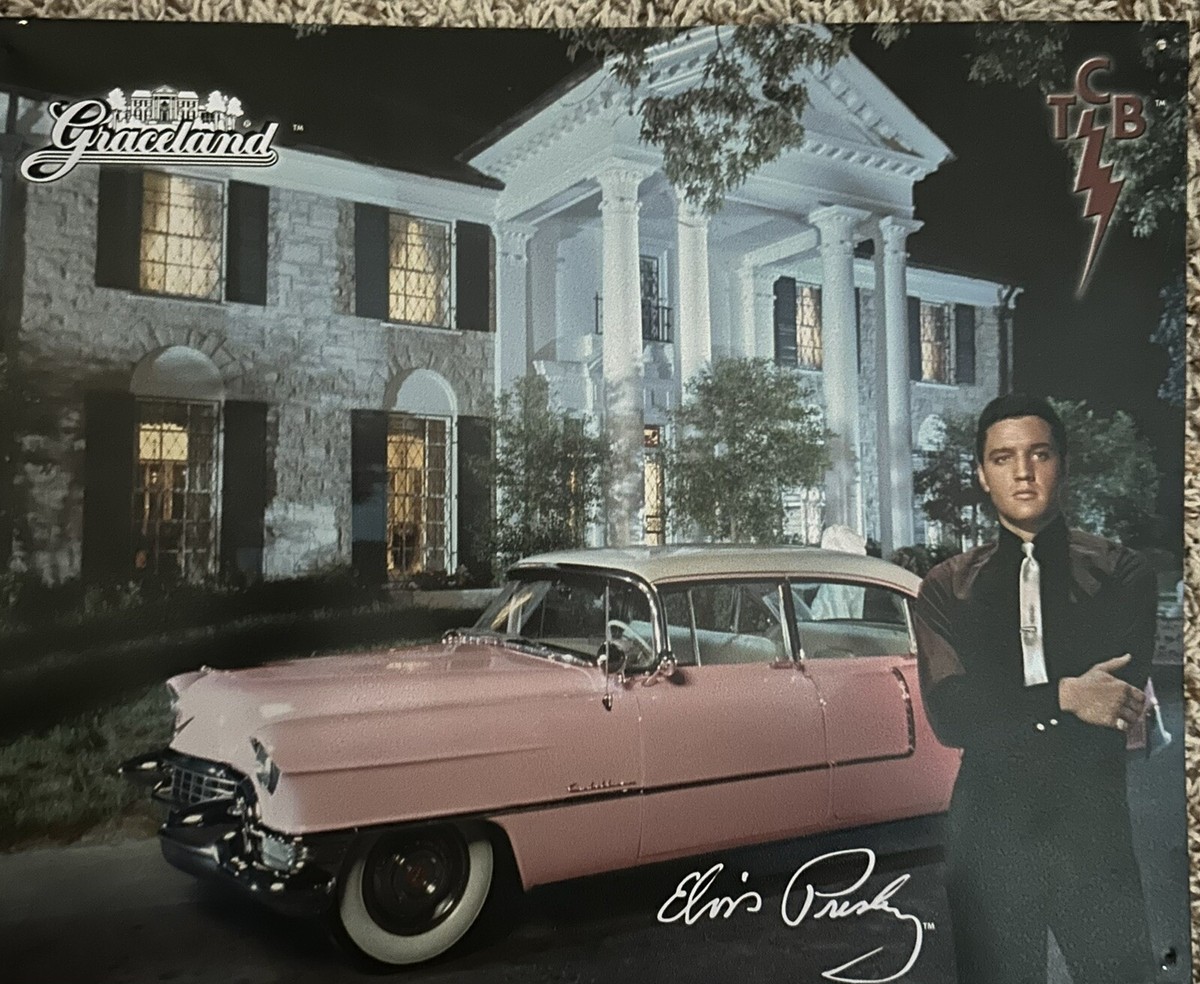 Elvis Pink Cadillac At Graceland