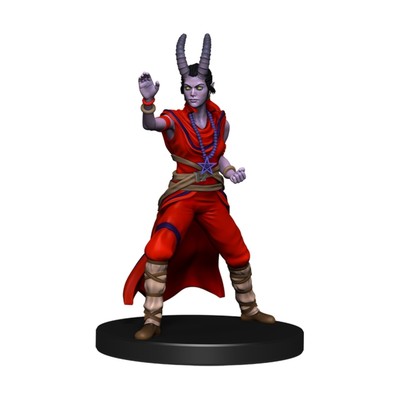 WizKids Pathfinder Darklands Mini Hellspawn Monk (C) NM | eBay