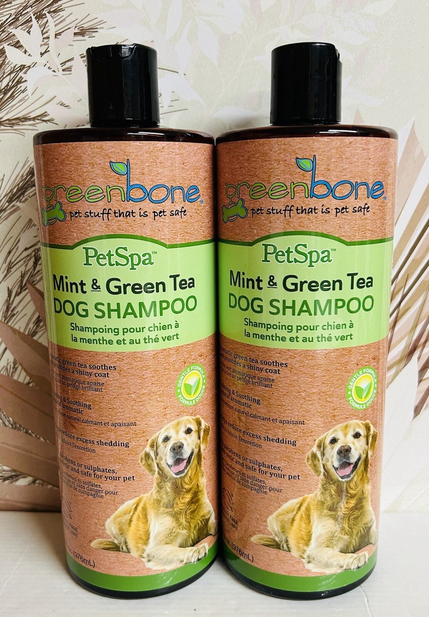 Is Green Tea Bad For Dogs