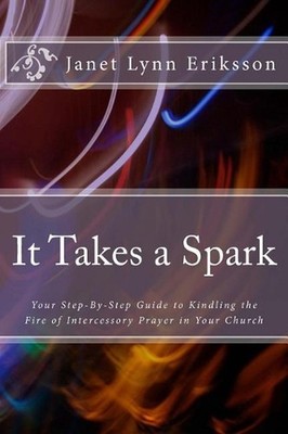 It Takes a Spark: Your Step-By-Step Guide to Kindling the Fire of ...