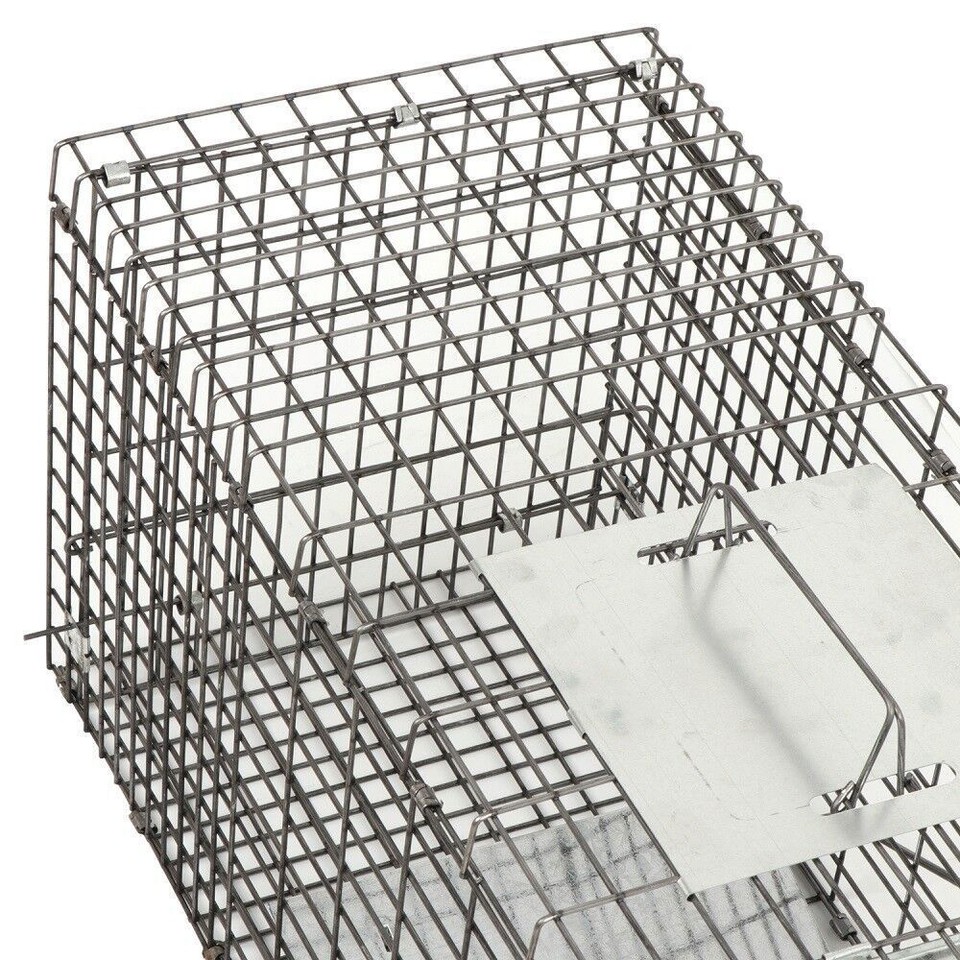 2PCS Live Animal Traps 32"x12.5"x12" Steel Humane Animal Cage Raccoon ...