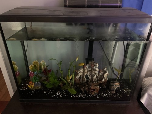 fish tank | eBay