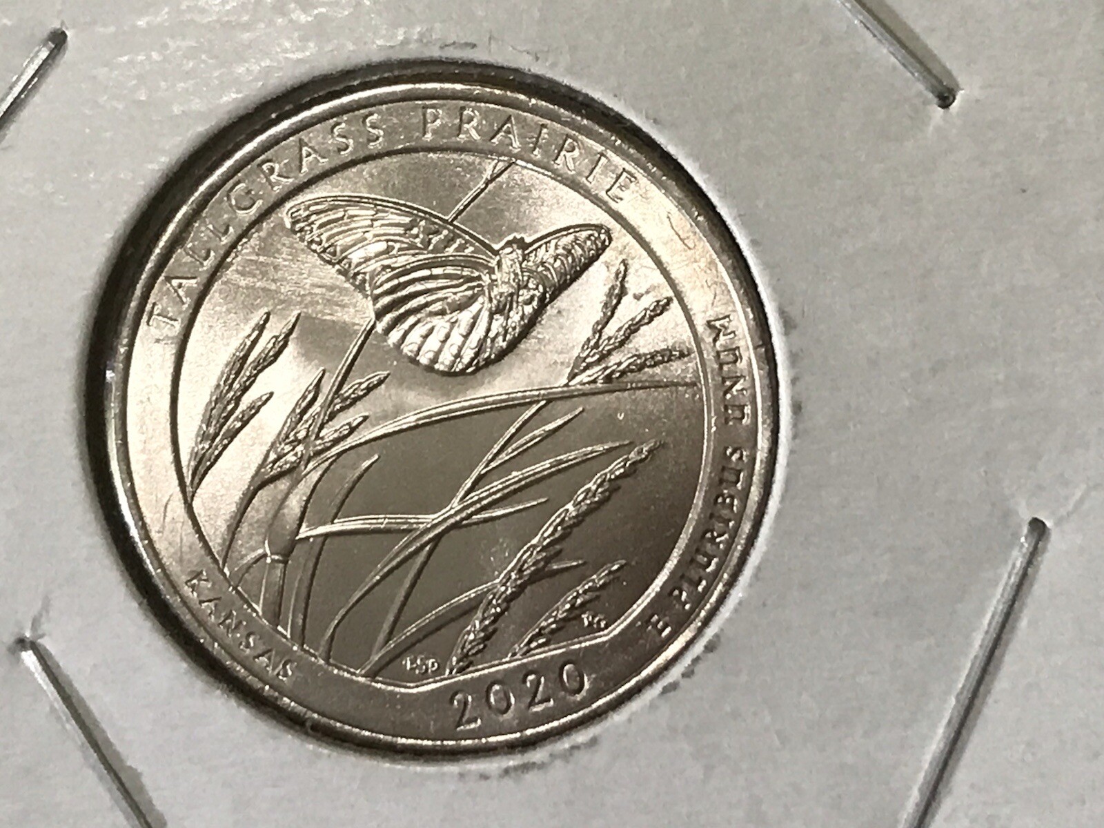 2020 P Washington Quarter Tallgrass Prairie. Mint Error or new variety ...