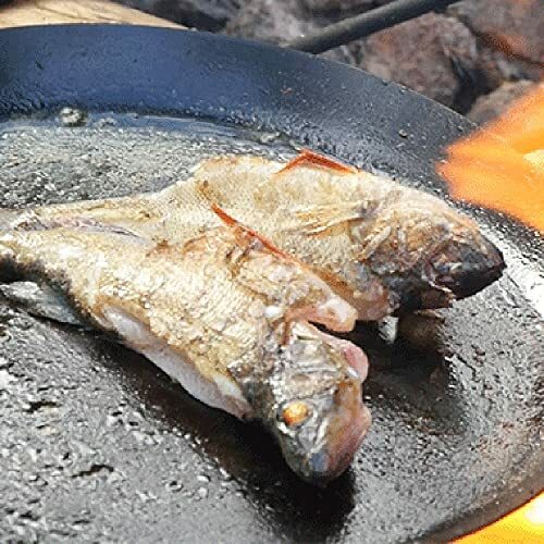 Bush Craft Bonfire skillet Frying pan 10-03-orig-0002 New | eBay