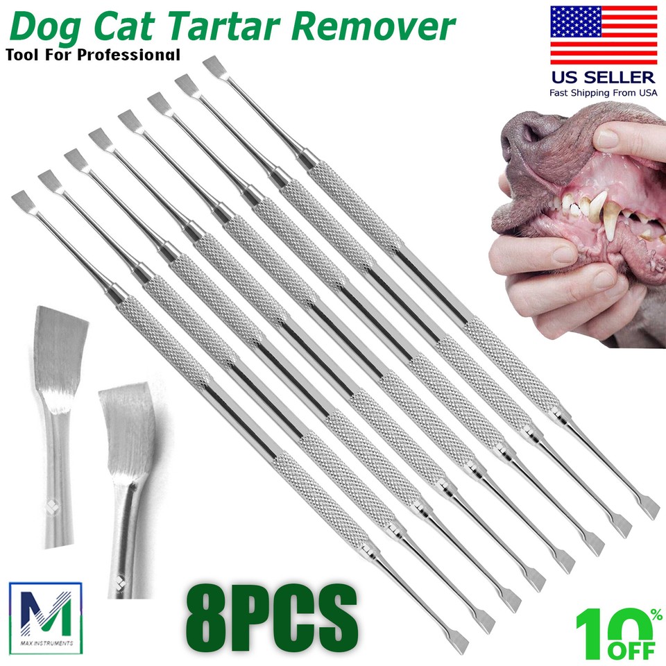 Tartar Calculus Remover Dental Veterinary Dog Pet Tooth Filling ...