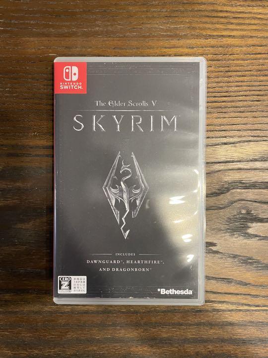 Skyrim Case