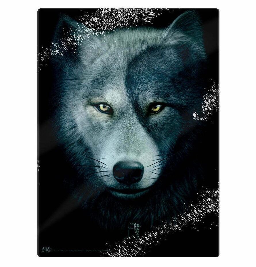 Good And Evil Art Wolf