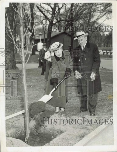 1948 Press Photo Mayor and Mrs. Curley plant tree on Boston Common for ...