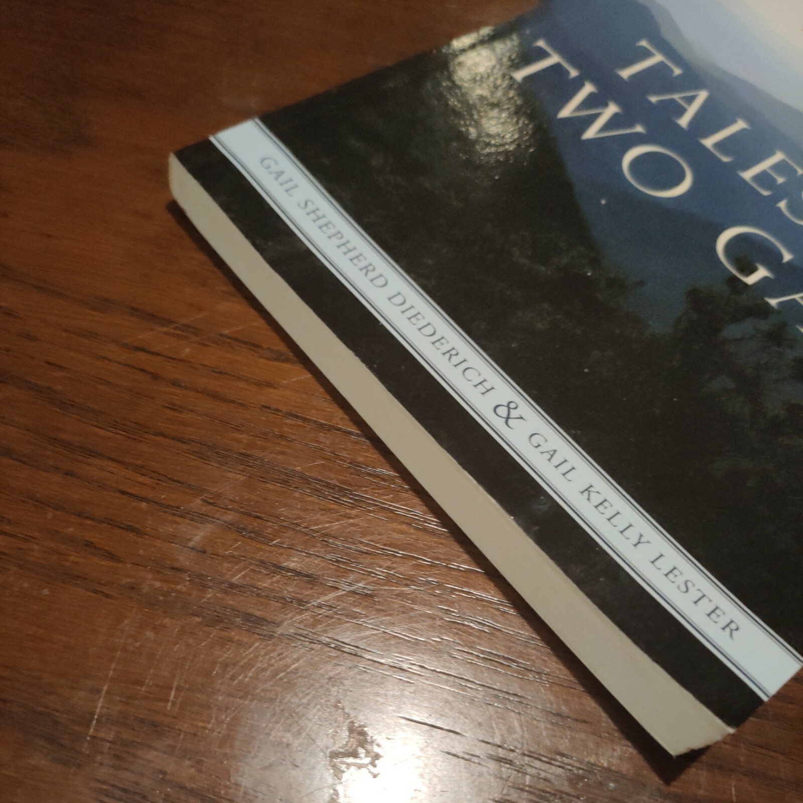 Tales of Two Gails by Diederich, Gail Shepherd | eBay Australia