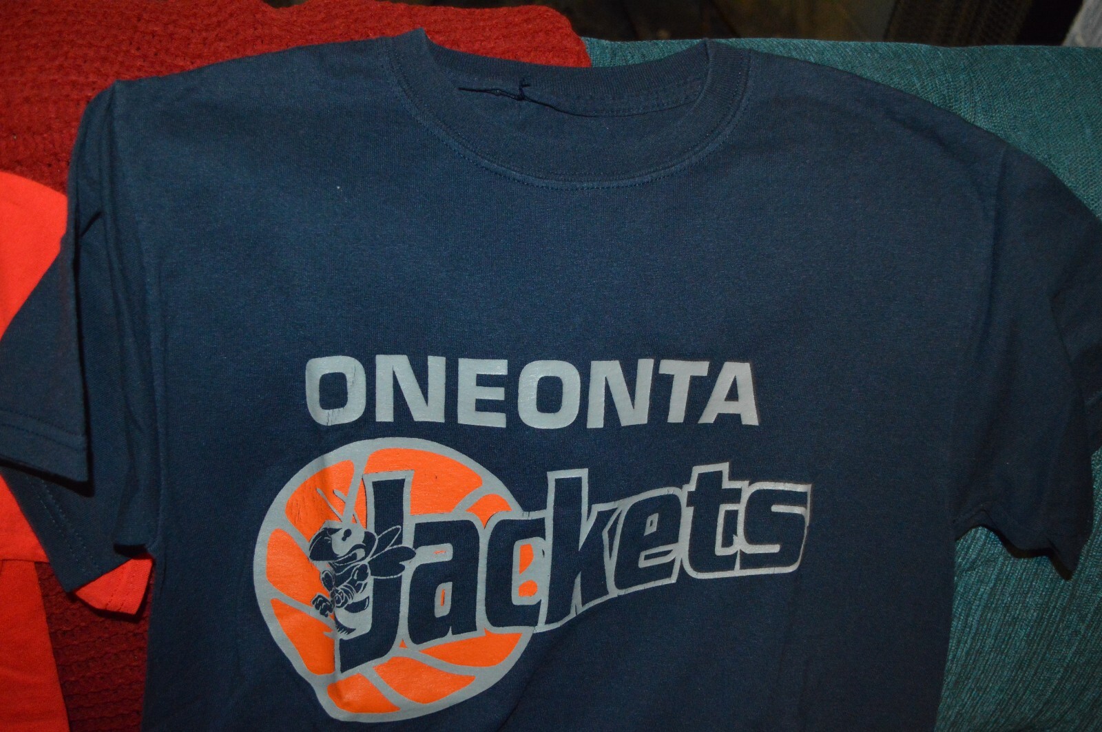 SUNY Oneonta State + High School y2k era T Shirt Small lot pair Upstate ...