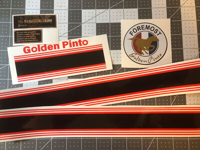 Foremost Golden Pinto J C Penney’s Mini Bike Fender Stripes And Bird ...