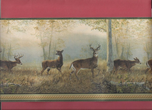 Home Trends Wallpaper Wall Border Deer in Woods 5 Yards. for sale ...