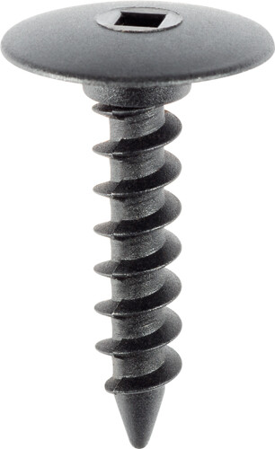 Specialty screw for Chrysler and Gm Qty 15 6503819,6503401 25631448 Qty ...